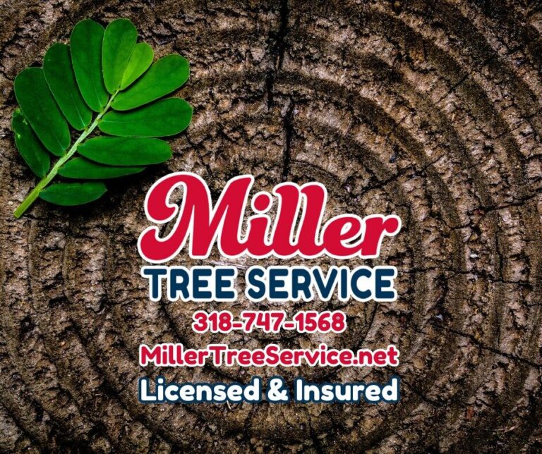 About Us – Miller Tree Service, Inc