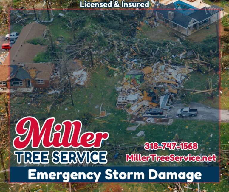 About Us – Miller Tree Service, Inc